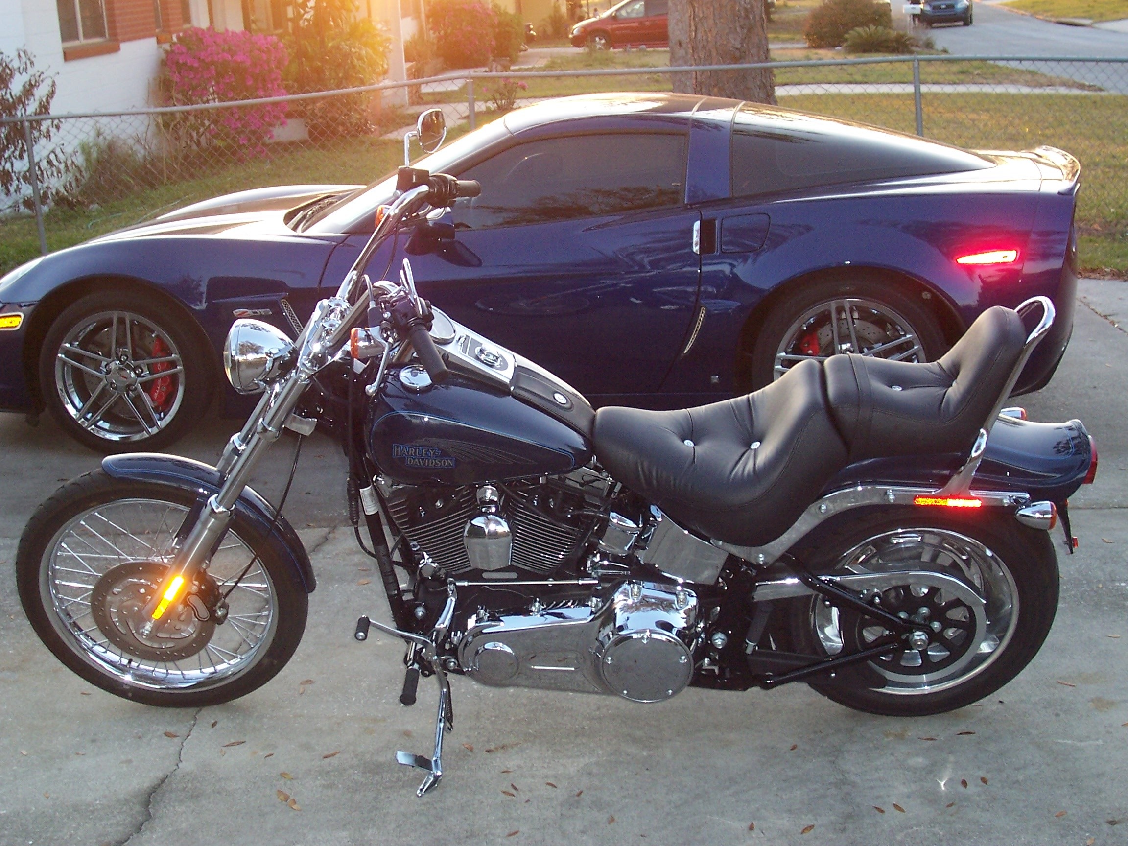 Kevin Korb's Collection of Pictures: 2009-FXSTC-left.jpg