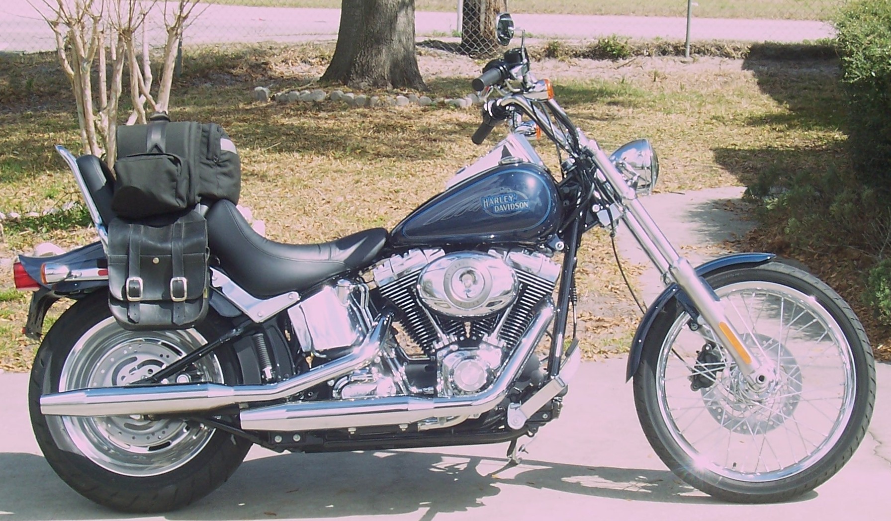Kevin Korb's Collection of Pictures: 2009-FXSTC-right-bags.jpg