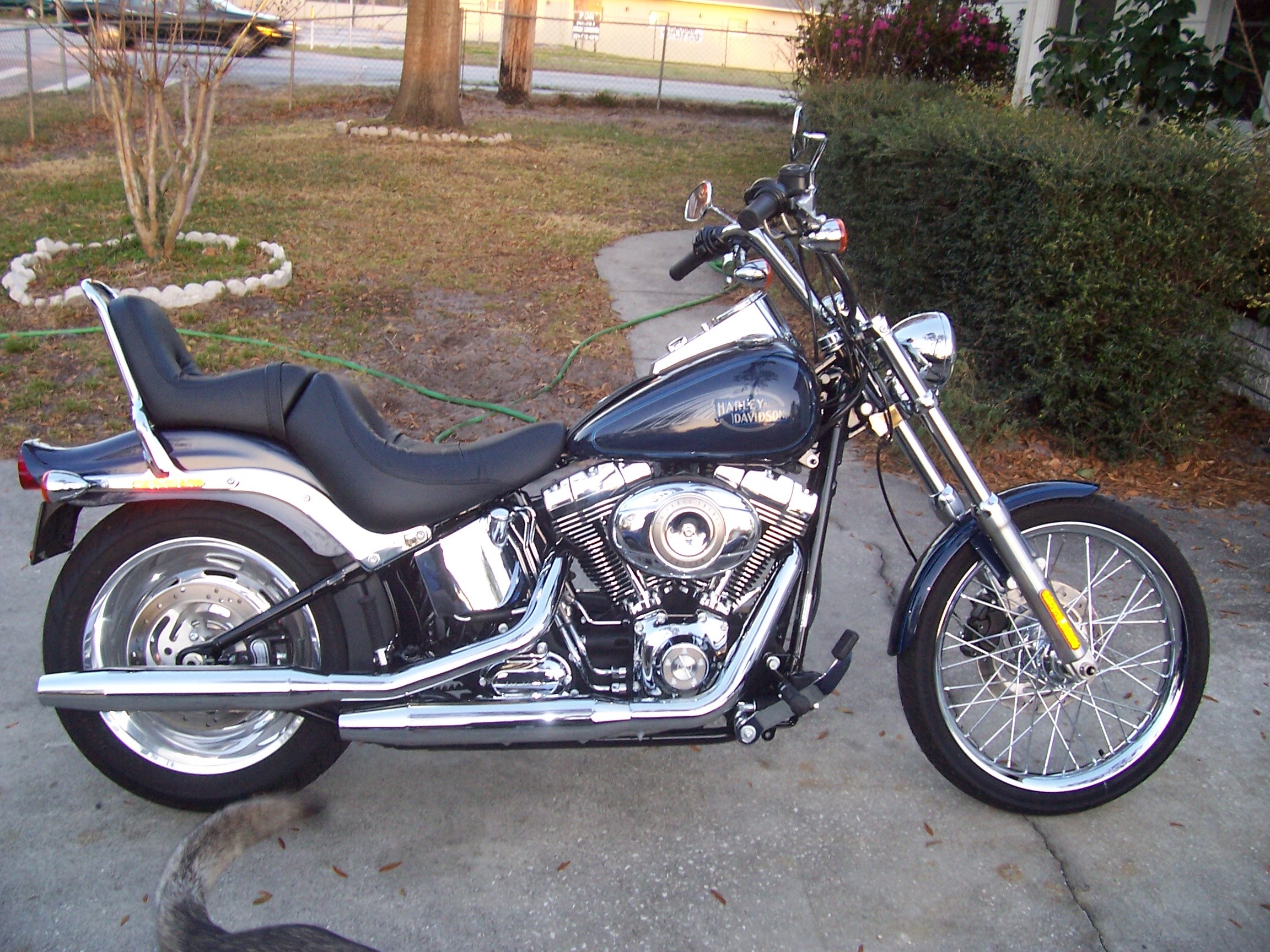 Kevin Korb's Collection of Pictures: 2009-FXSTC-right.jpg