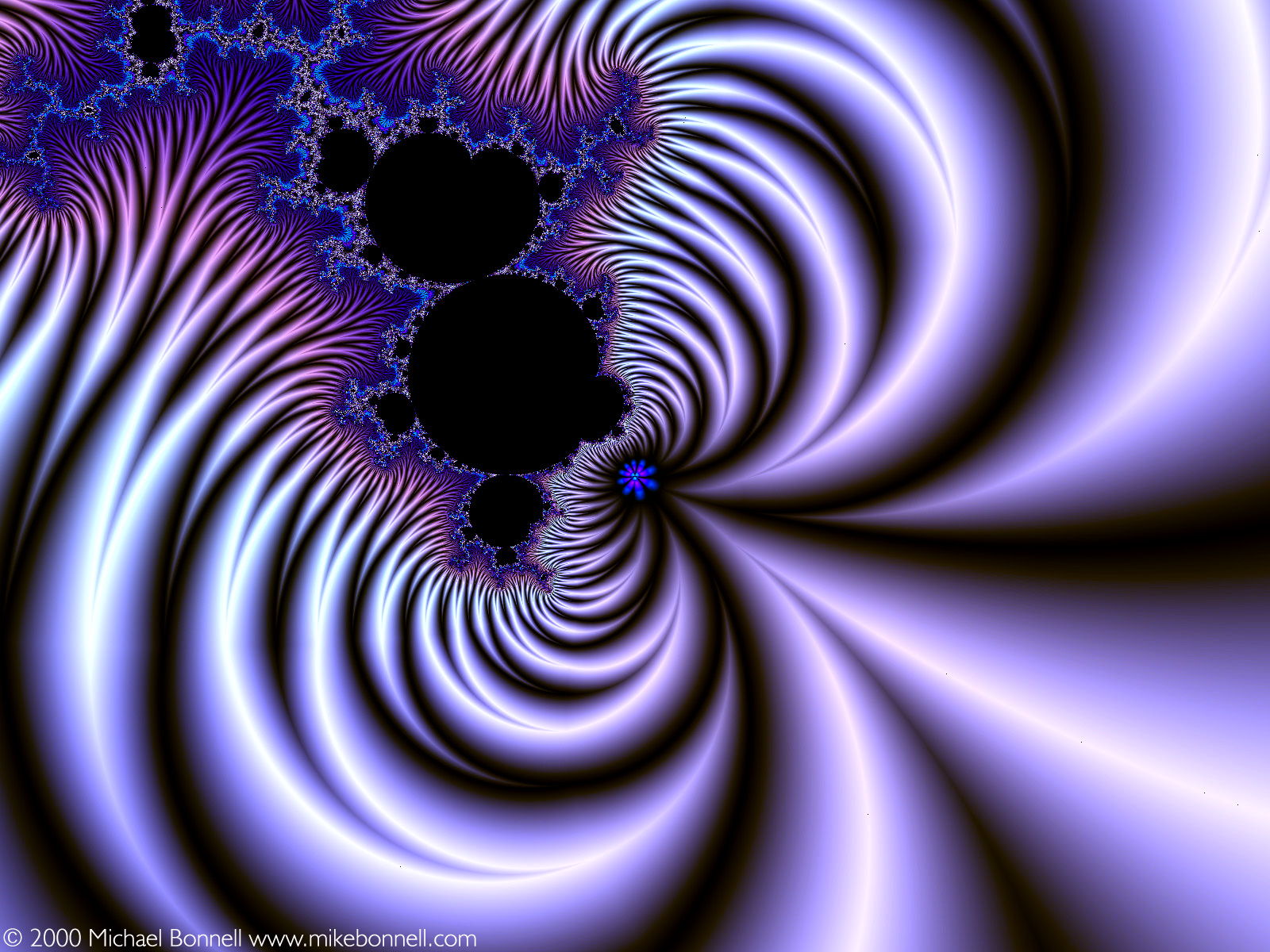 Kevin Korb's Collection of Pictures: PAbstract03_1600.jpg